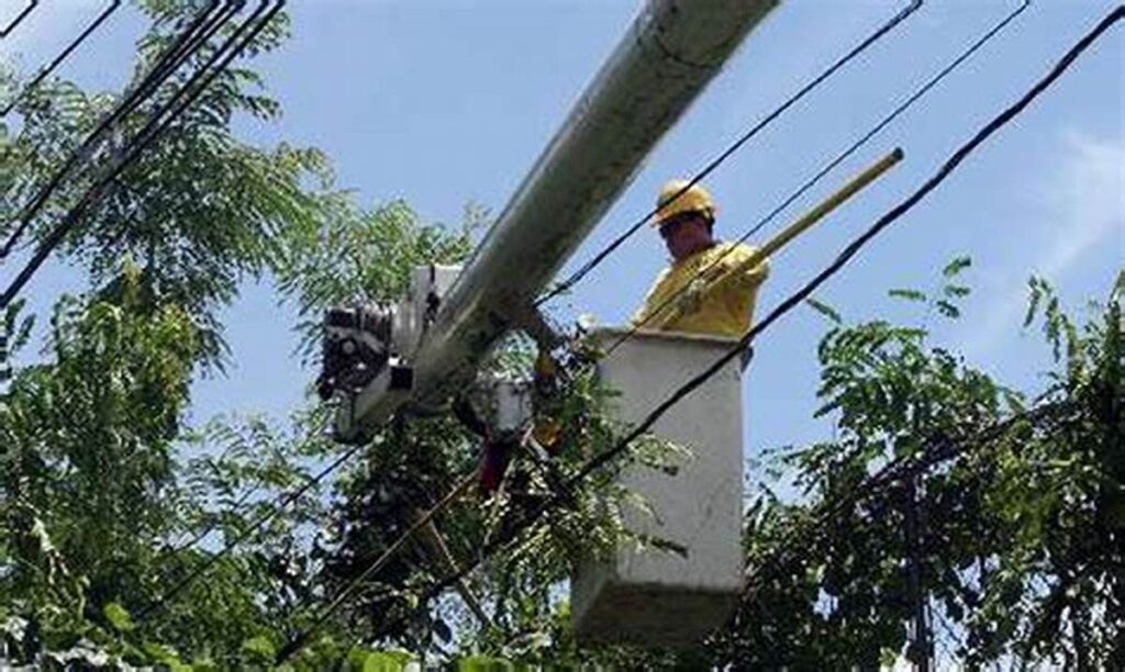 TORMENTAS, FALTA DE PREVENCIÓN DE LOS PRIVADOS Y DAÑOS AL SISTEMA ...